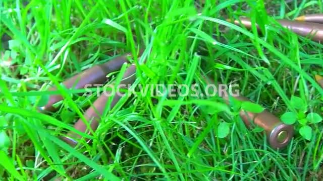 Machine gun bullets on the grass, ammunition